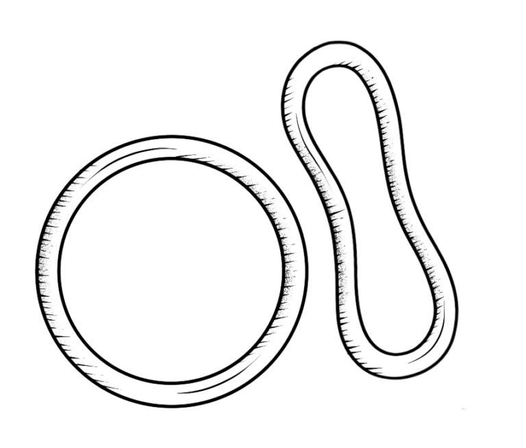 Contraceptive ring - S.O.S. Grossesse Québec